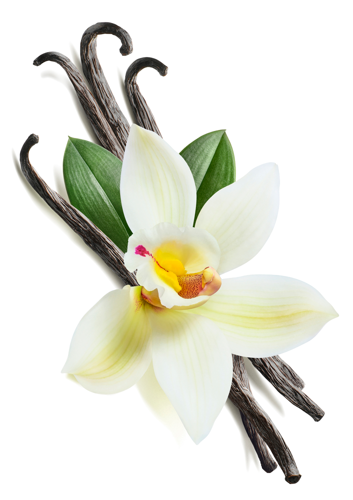 Vanilla - Flavorchem